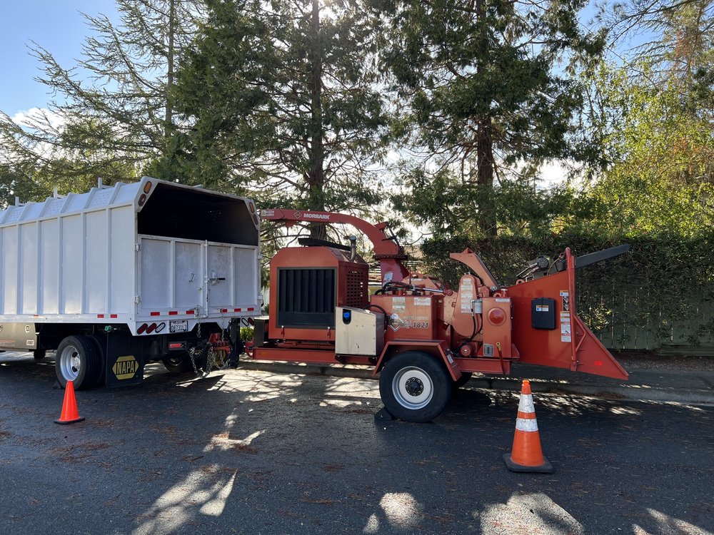 ANGEL’S TREE CARE - Updated August 2025 - 14 Reviews - Vallejo ...