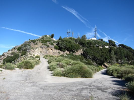 Mount Disappointment - 33 Photos - Hiking - Mt Disappointment Rd ...