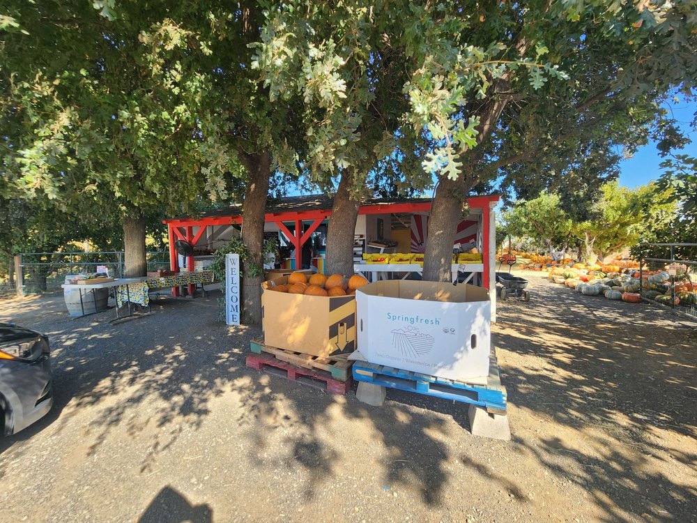 BERRY BEST FARM - Updated August 2025 - 49 Photos & 58 Reviews - 7450 ...