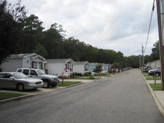 SHADY PINES RV COMMUNITY - Updated September 2024 - 10 Photos - 443 6th ...