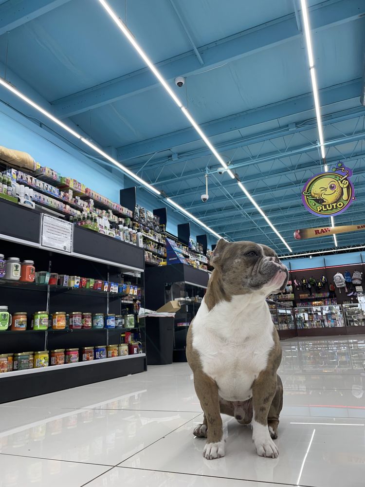PLUTO SMOKE SHOP - Updated December 2025 - 28 Photos - 2029 N Monroe St ...