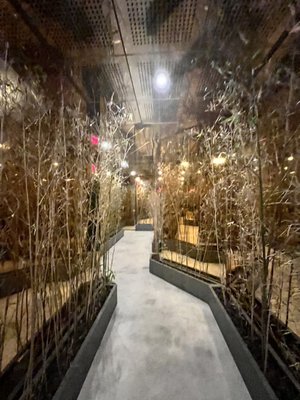 AIKO - Updated May 2024 - 1017 Photos & 198 Reviews - 1902 Washington ...