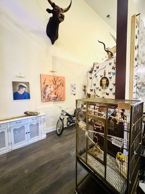 THE INSECT ASYLUM - Updated December 2025 - 65 Photos & 15 Reviews ...