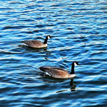 ESTHER SIMPLOT PARK - Updated October 2025 - 80 Photos & 16 Reviews ...