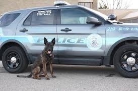 HAZEL PARK POLICE STATION - Updated October 2025 - 111 E 9 Mile Rd ...