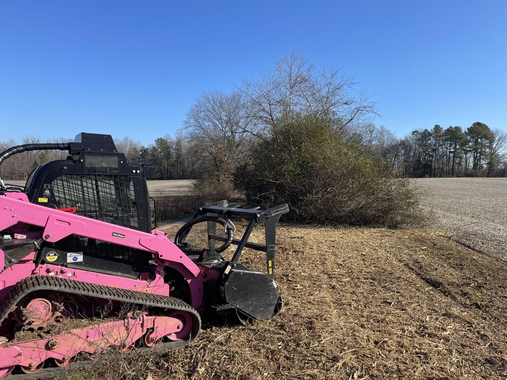 BLUE RIDGE TREE & STUMP - Updated January 2026 - Tuckahoe, Virginia ...