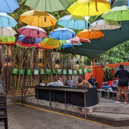 BAR 35 - Updated December 2025 - 749 Photos & 489 Reviews - 35 N Hotel ...