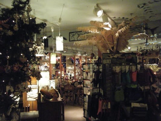 YES GALLERY - Updated August 2024 - 35 Photos - 17 Brown St, Wickford ...