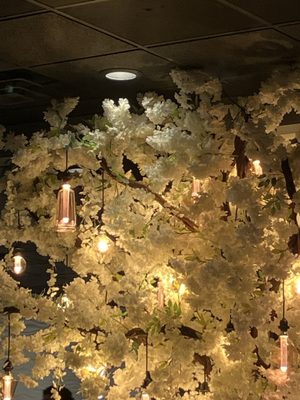 CASA GRANDE - Updated December 2025 - 31 Photos & 57 Reviews - 22 ...