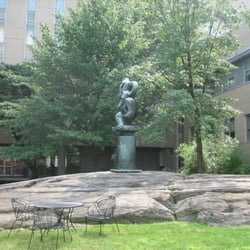 ALBERT EINSTEIN COLLEGE OF MEDICINE - 11 Photos - 1300 Morris Park Ave ...