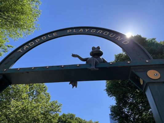 THE BOSTON COMMON FROG POND - Updated June 2025 - 163 Photos & 137 ...