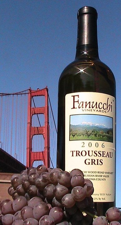 FANUCCHI VINEYARDS - Updated April 2026 - 13 Photos - Fulton ...