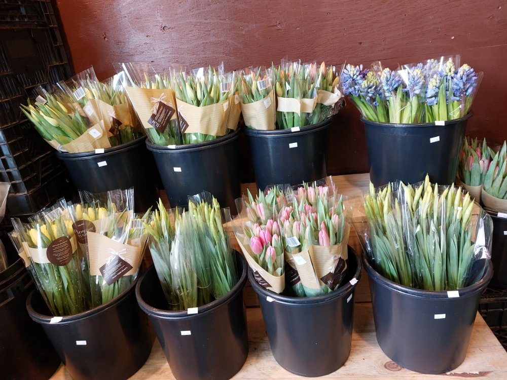 JOE FRUIT MARKET - Updated December 2024 - 255 Augusta Avenue, Toronto ...