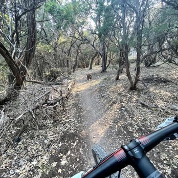 BRUSHY CREEK LAKE PARK - 240 Photos & 84 Reviews - 3300 Brushy Creek Rd ...