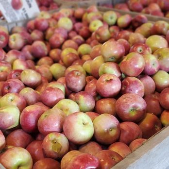 SECOR FARMS - Updated January 2026 - 265 Photos & 86 Reviews - 168 ...