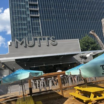 MUTTS CANINE CANTINA - Updated December 2025 - 484 Photos & 442 Reviews ...