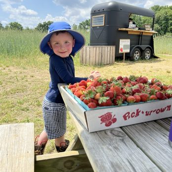 JOHNSON’S LOCUST HALL FARM - Updated December 2025 - 176 Photos & 36 ...