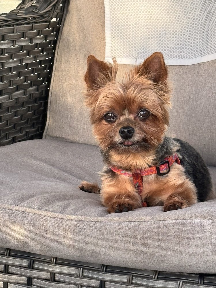 BUSHNELL ANIMAL CLINIC - Updated December 2025 - 14 Reviews - 5899 SW ...