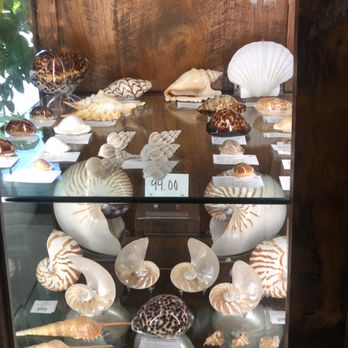 SHELL WORLD - Updated September 2025 - 199 Photos & 111 Reviews - 97600 ...