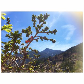 PIKES PEAK ZIP LINES - Updated August 2024 - 25 Photos & 18 Reviews ...