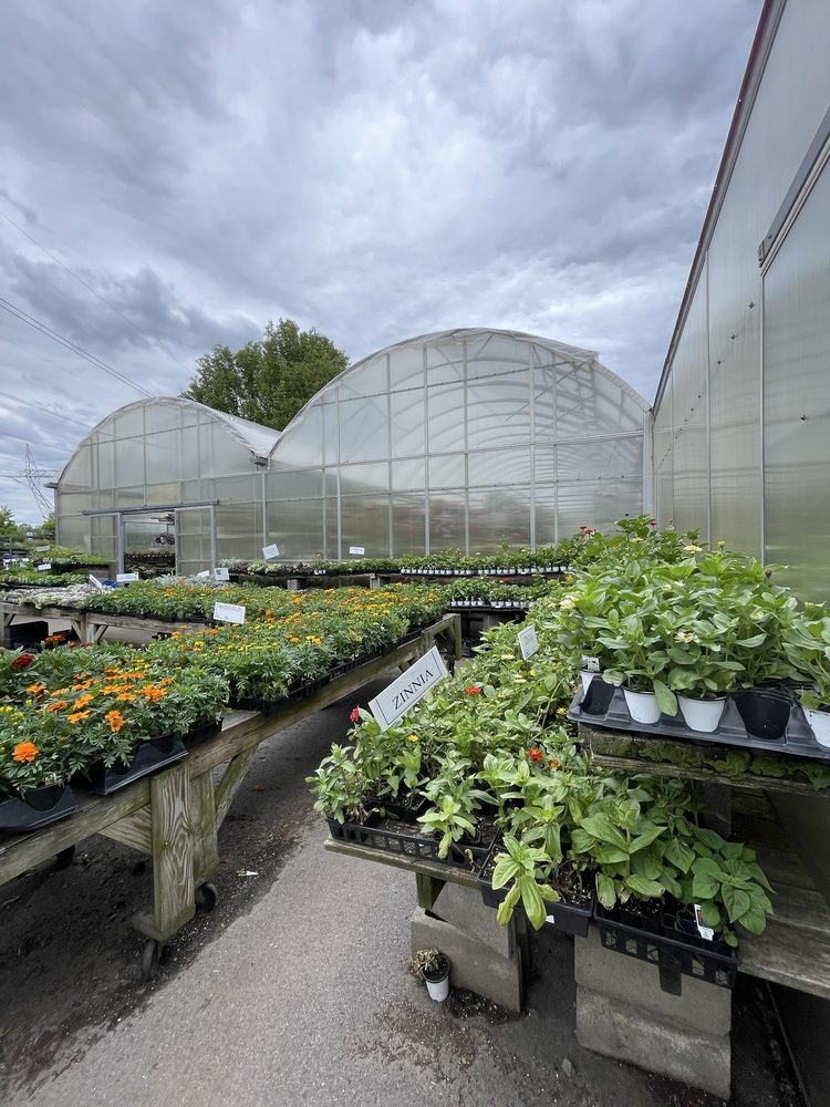 WAYSIDE GARDEN CENTER - Updated June 2026 - 24 Photos & 28 Reviews ...