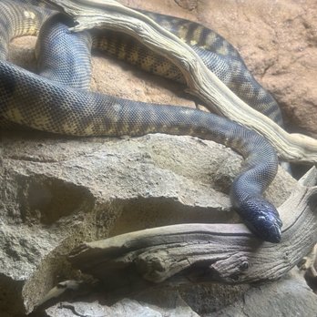 ANIMAL WORLD & SNAKE FARM - Updated April 2025 - 809 Photos & 311 ...