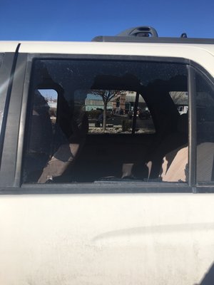 ASAP GLASS - Updated December 2024 - 31 Photos & 70 Reviews - 1720 ...