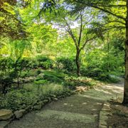 UNC CHARLOTTE BOTANICAL GARDENS - 145 Photos & 36 Reviews - Charlotte ...