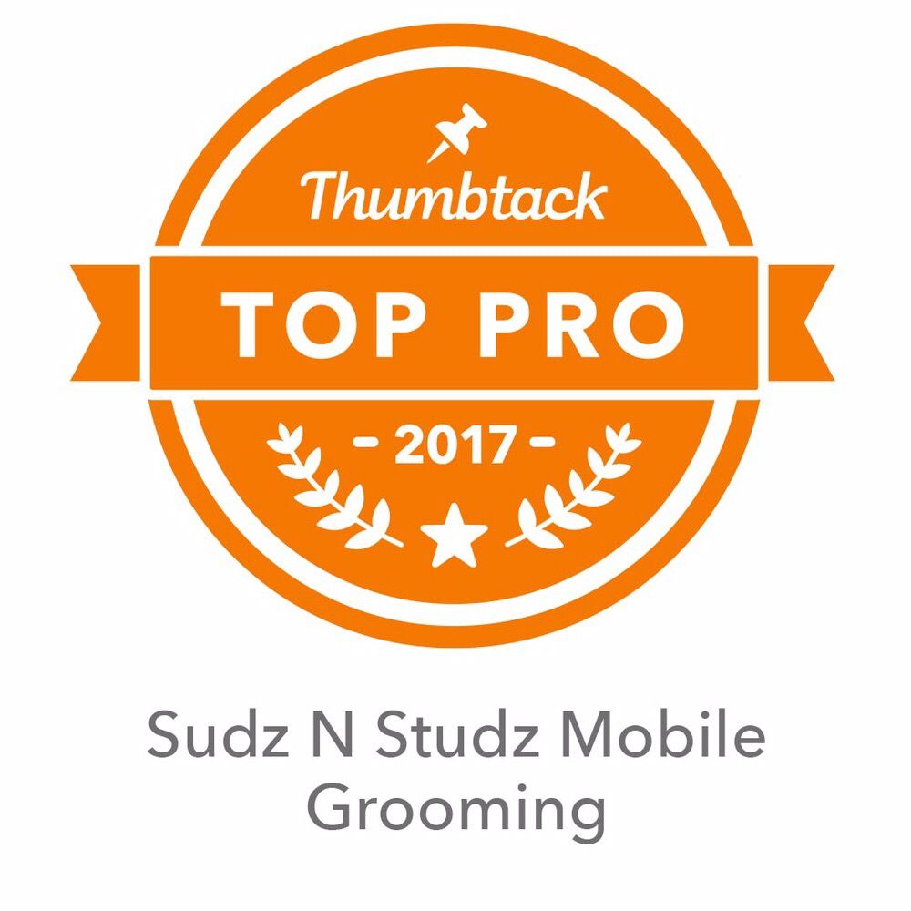 SUDZ N STUDZ - Updated July 2025 - 10015 Green Valley Ln, Houston, Texas - Pet Groomers - Phone ...