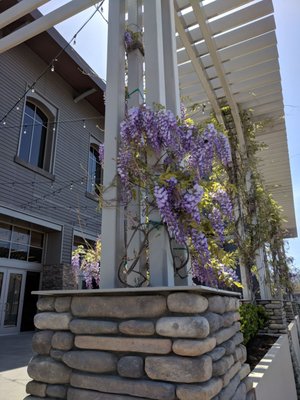 OLD TOWN NEWHALL LIBRARY - Updated December 2025 - 71 Photos & 74 ...