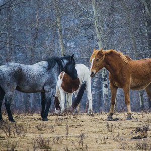 THE CAMERA STORE - Updated December 2025 - 62 Reviews - 802 11 Avenue ...