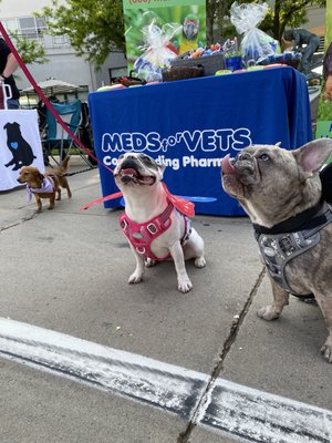 MEDS FOR VETS COMPOUNDING PHARMACY - Updated December 2025 - 9550 S ...