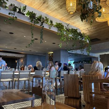 MACANDA - Updated October 2024 - 442 Photos & 175 Reviews - 294 Grove ...