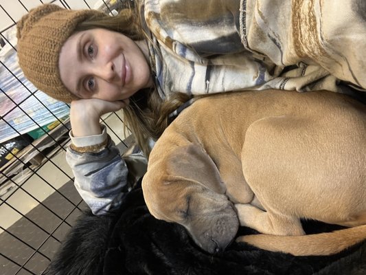 WRIGHT WAY RESCUE - Updated December 2025 - 81 Photos & 221 Reviews ...