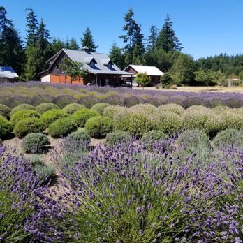 WILDERBEE FARM - Updated December 2025 - 11 Photos & 12 Reviews - 223 ...