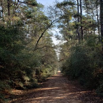 WILLIAM GOODRICH JONES STATE FOREST - Updated December 2025 - 50 Photos ...