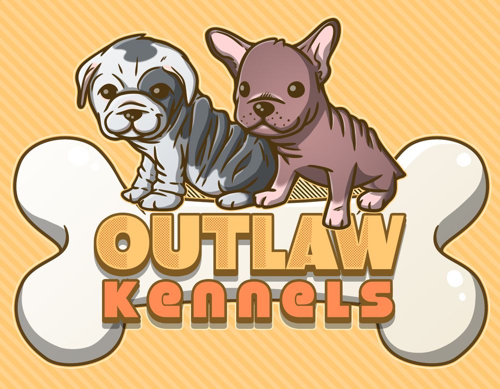 WHITEMAZE DESIGNS - Request Consultation - 10 Photos - Phoenix, Arizona - Graphic Design - Phone ...