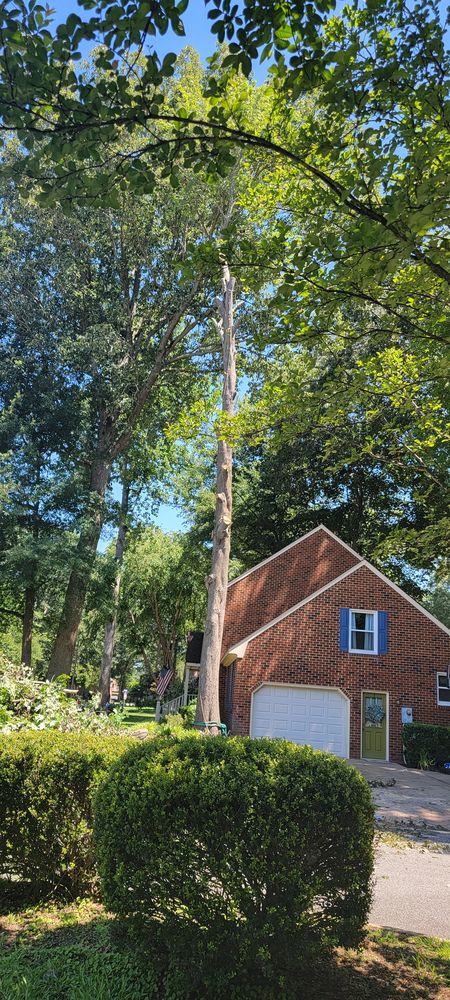 BARRETT TREE SERVICES - Updated July 2025 - 22 Photos - Norfolk ...