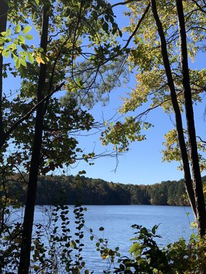 Lake Johnson Park - 204 Photos & 115 Reviews - Parks - 4601 Avent Ferry ...