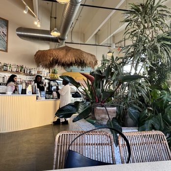 OUTTA THE BLUE CAFE - Updated June 2024 - 181 Photos & 110 Reviews ...