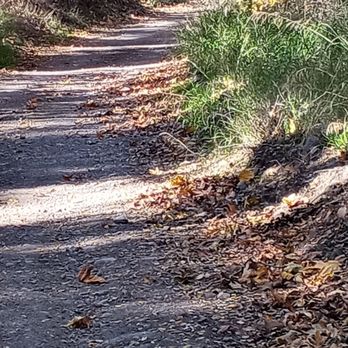 HOLY JIM FALLS TRAIL - Updated October 2025 - 565 Photos & 219 Reviews ...