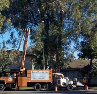 GENERAL TREE SERVICE - Updated December 2025 - 13 Photos & 51 Reviews ...