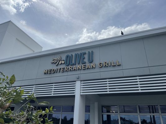 OLIVE U MEDITERRANEAN GRILL UPTOWN - Updated March 2025 - 150 Photos ...