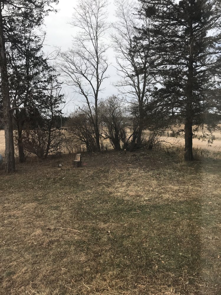 WILD RIVER TREE SERVICE - Updated October 2025 - Taylors Falls ...