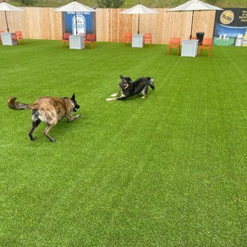 FETCH PARK - Updated September 2025 - 23 Photos & 16 Reviews - 11440 ...