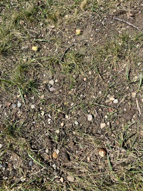 GREENCYCLE OF INDIANA - Updated October 2025 - 2695 Cicero Rd ...