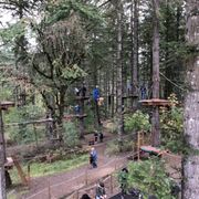 TREE TO TREE ADVENTURE PARK - 211 Photos & 125 Reviews - 2975 SW Nelson ...