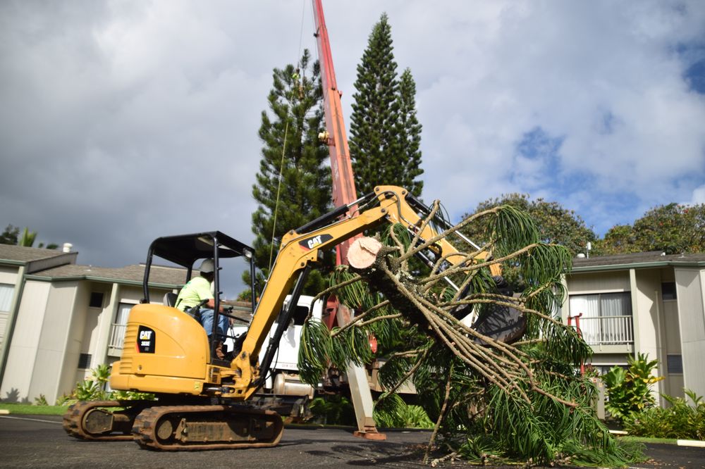 PARADISE TREE SERVICE - Updated October 2025 - 12 Photos - Hanalei ...
