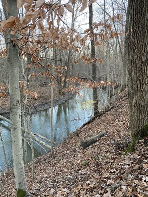 PAUL RUSTER PARK - 54 Photos & 13 Reviews - 11300 E Prospect St ...