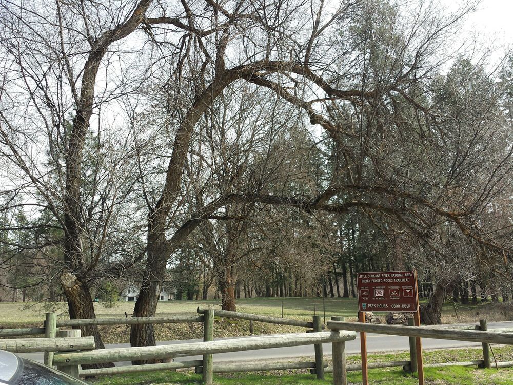 LITTLE SPOKANE RIVER NATURAL AREA INDIAN PAINTED ROCKS - Updated ...